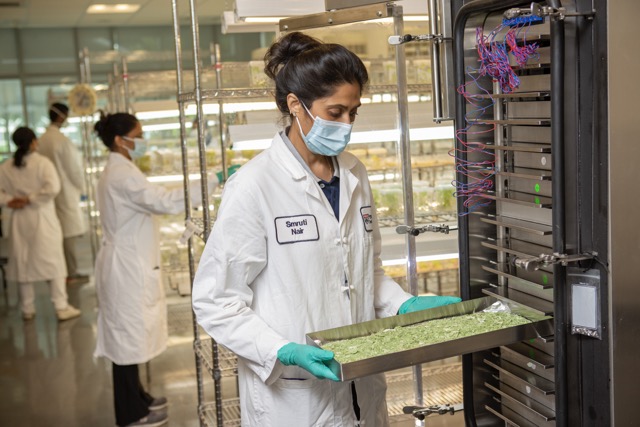 Chewing Gum Designed to Trap SARS-CoV-2 in the Saliva Moves to Clinical ...