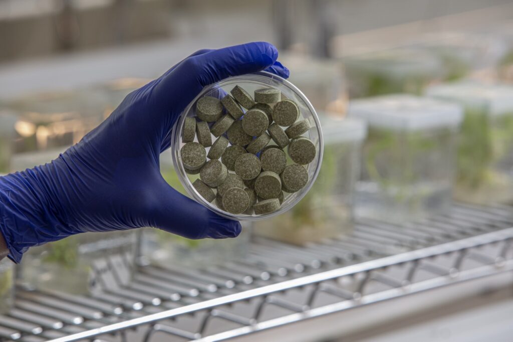 Chewing Gum Designed to Trap SARS-CoV-2 in the Saliva Moves to Clinical ...