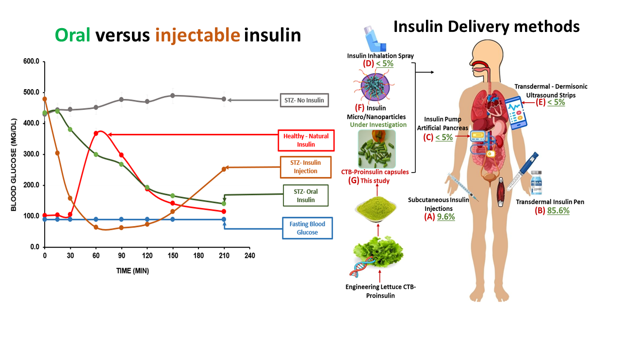 Daniell Lab Study Shows Plant-Based Insulin Regulates Blood Sugar ...
